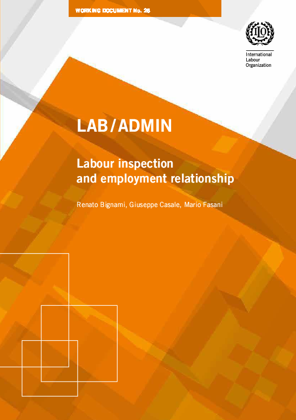 (PDF) Labour inspection and employment relationship