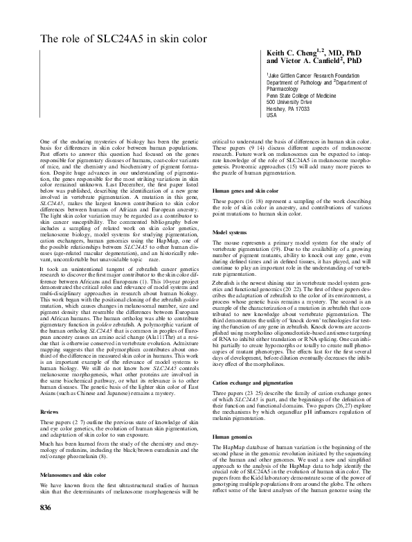 (PDF) The role of SLC24A5 in skin color