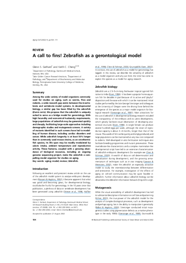 (PDF) A call to fins! Zebrafish as a gerontological model: Zebrafish ...