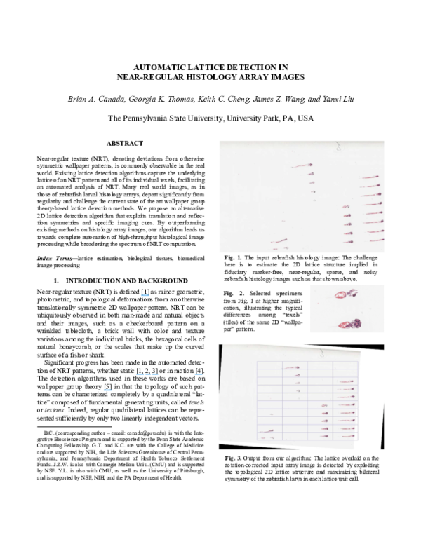 Pdf Automatic Lattice Detection In Near Regular Histology Array Images