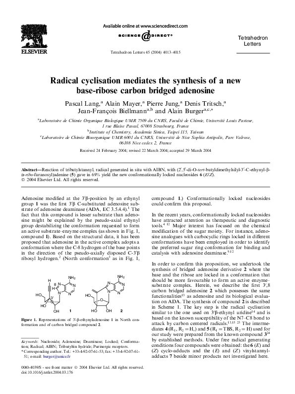 (PDF) Radical cyclisation mediates the synthesis of a new base-ribose ...
