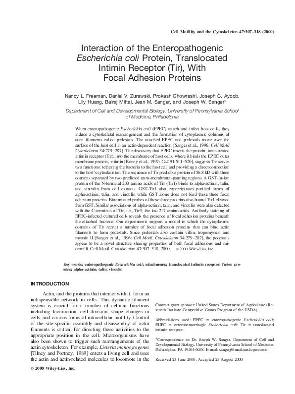 (PDF) Interaction of the enteropathogenicEscherichia coli protein ...