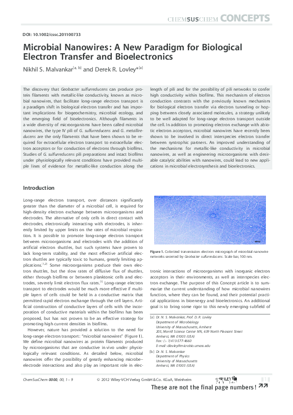 (PDF) Microbial Nanowires: A New Paradigm for Biological Electron ...