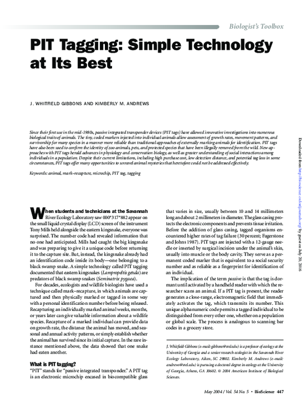 (PDF) PIT Tagging: Simple Technology at Its Best