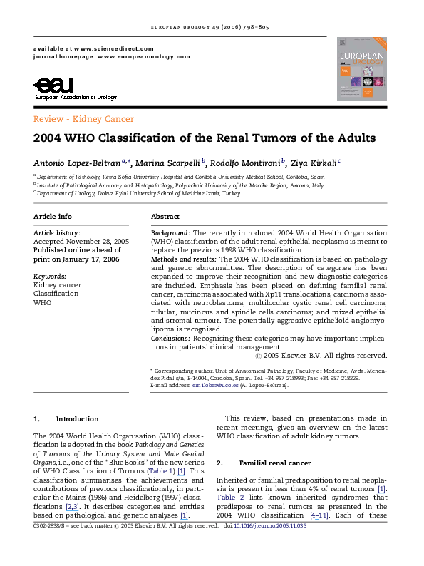 (PDF) 2004 WHO Classification of the Renal Tumors of the Adults