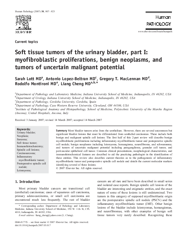 (PDF) Soft tissue tumors of the urinary bladder, Part I ...