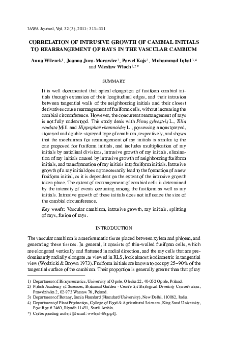 (PDF) Correlation of intrusive growth of cambial initials to ...