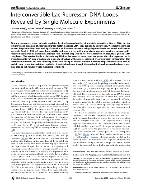 (PDF) Interconvertible Lac Repressor--DNA Loops Revealed by Single ...