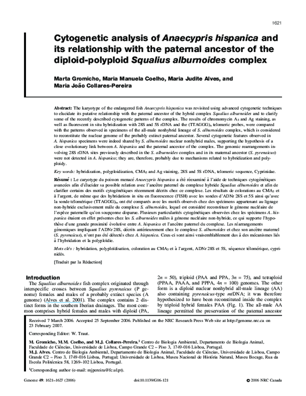 (PDF) Cytogenetic analysis of Anaecypris hispanica and its relationship with the paternal ...