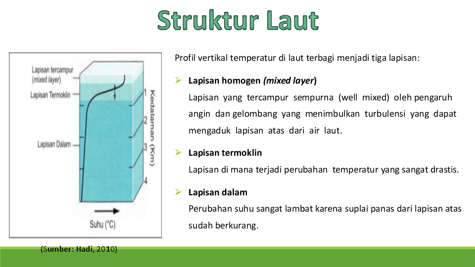 (PDF) Profil vertikal temperatur di laut terbagi menjadi tiga lapisan ...