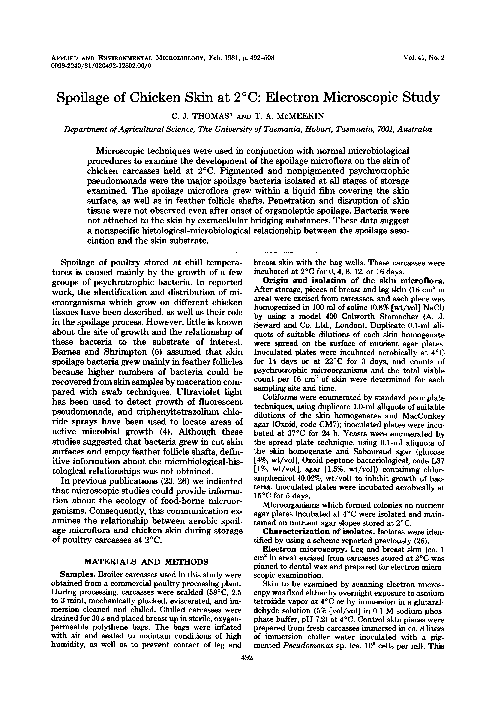 (PDF) Spoilage of chicken skin at 2°C: Electron microscope study