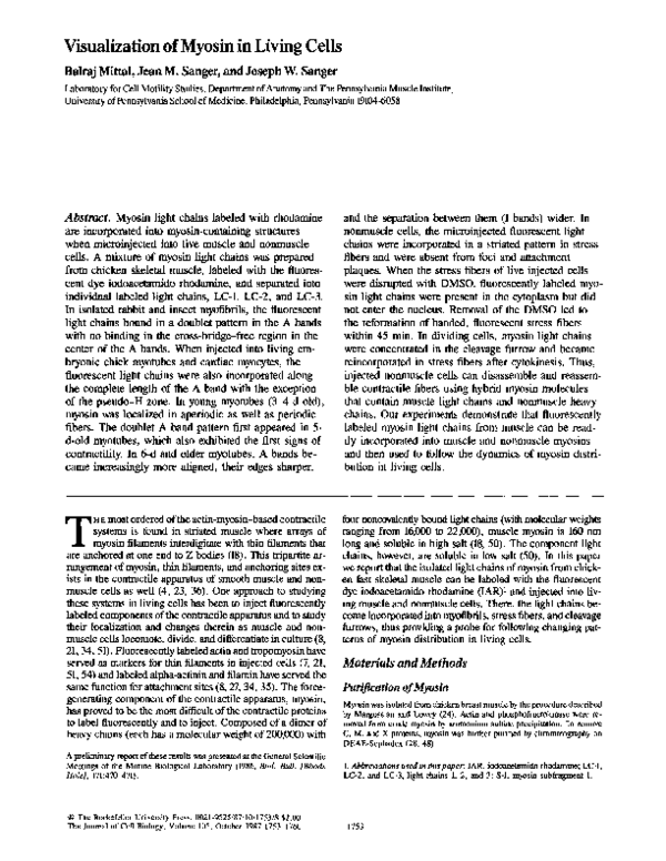 (PDF) Visualization of myosin in living cells