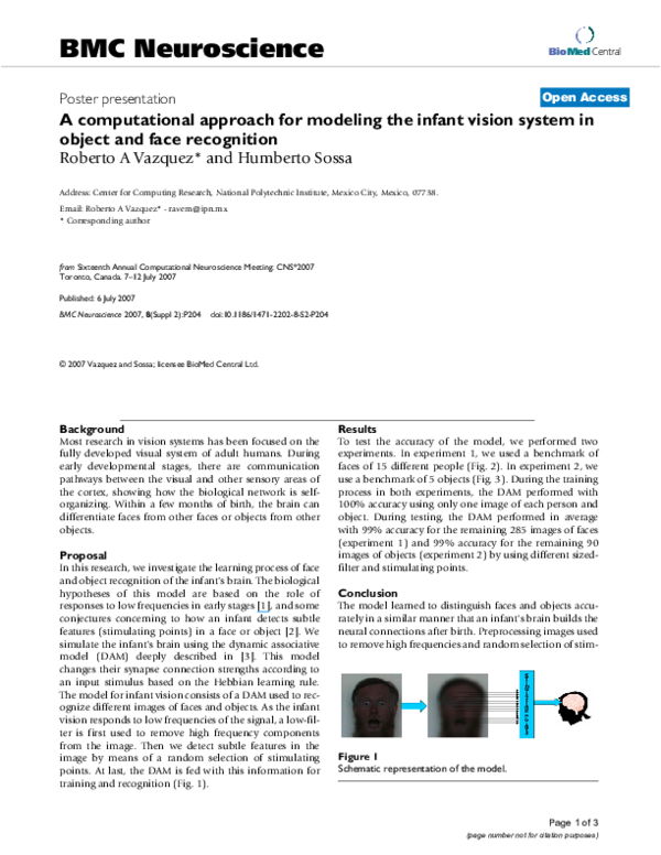 (PDF) A computational approach for modeling the infant vision system in object and face recognition