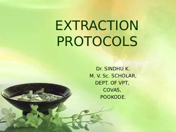 (PPT) Extraction 141119090241 conversion gate