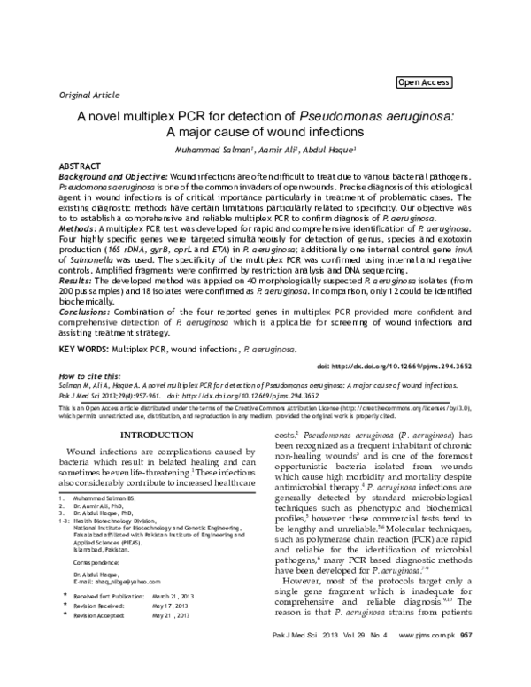 (PDF) A novel multiplex PCR for detection of Pseudomonas aeruginosa: A ...
