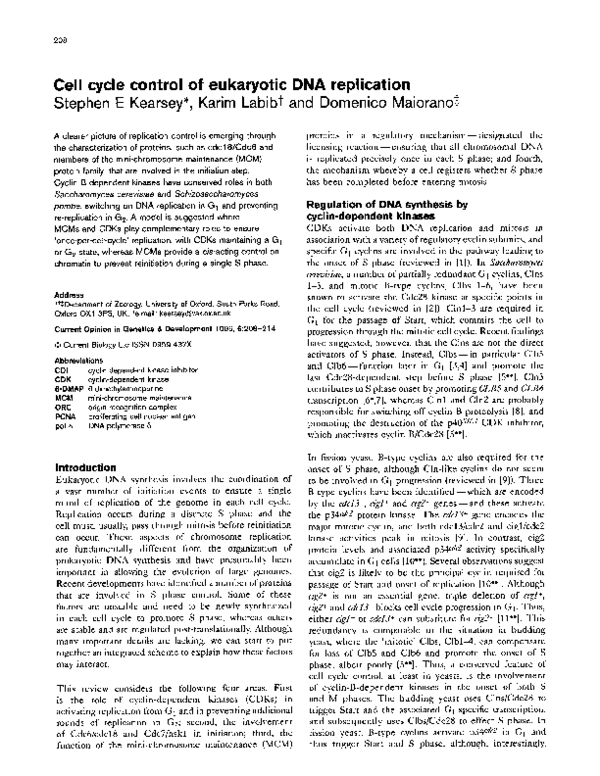 (PDF) Cell cycle control of eukaryotic DNA replication