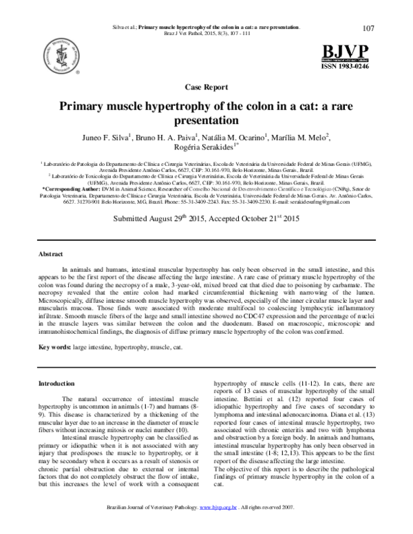 (PDF) Primary muscle hypertrophy of the colon in a cat: a rare presentation
