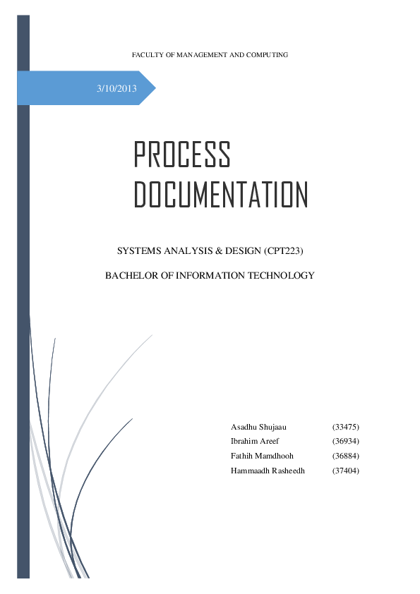 (PDF) Process Documentation