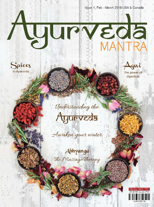 (PDF) Ayurveda Mantra Magazine February March 2016
