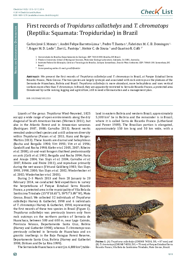 (PDF) First records of Tropidurus callathelys and T. chromatops ...