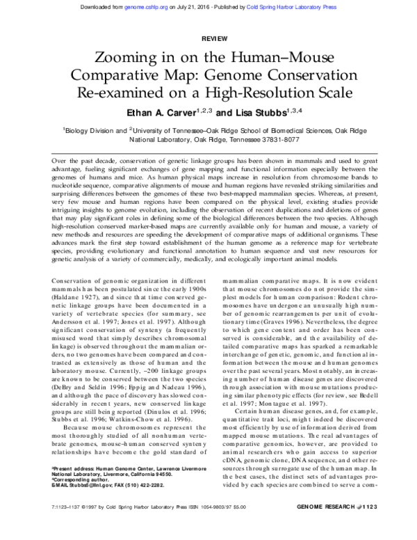 (PDF) Zooming in on the human-mouse comparative map: genome ...