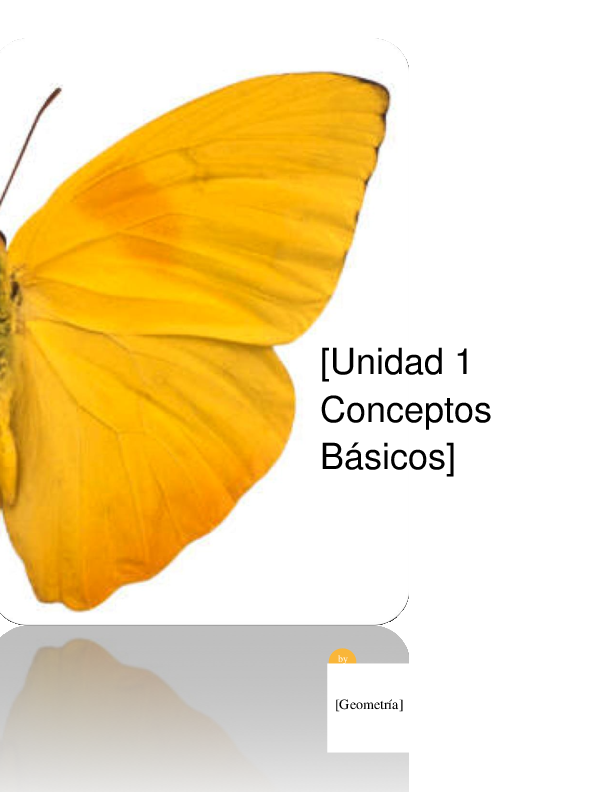(PDF) Unidad 1 Conceptos Básicos Geometría