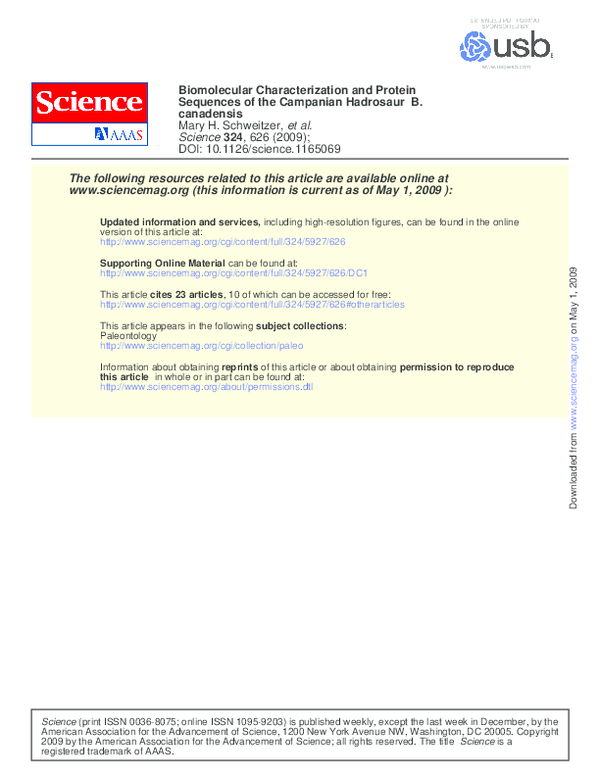 (PDF) Biomolecular Characterization and Protein Sequences of the ...