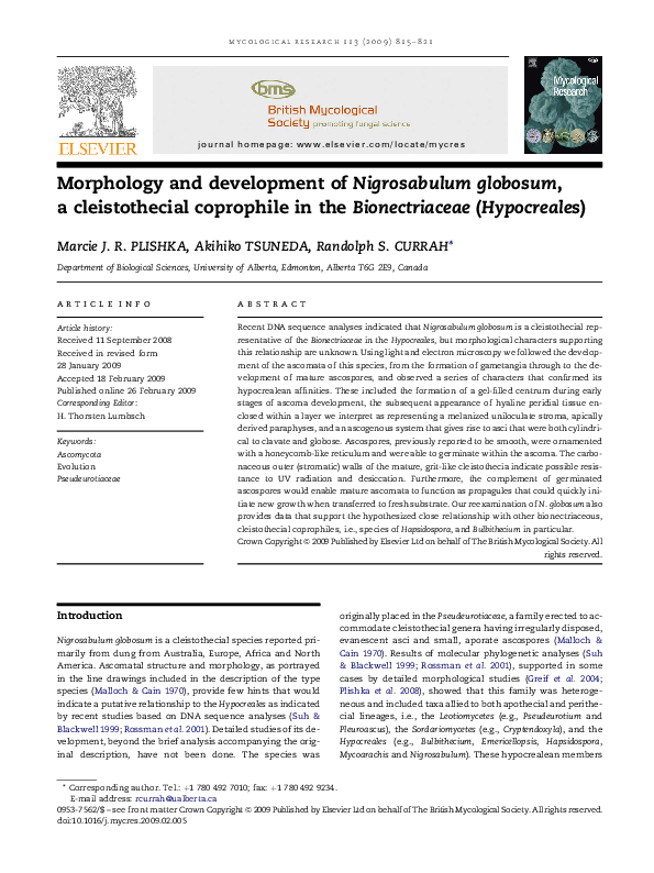 (PDF) Morphology and development of Nigrosabulum globosum, a ...