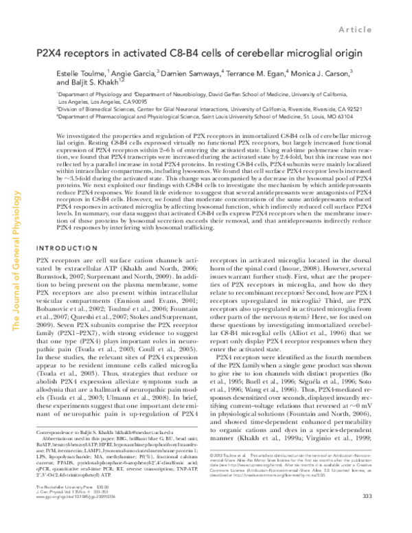 (PDF) P2X4 receptors in activated C8B4 cells of cerebellar microglial ...