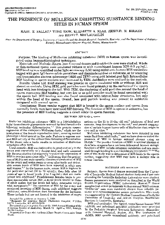 (PDF) THE PRESENCE OF MULLERIAN INHIBITING SUBSTANCE BINDING SITES IN ...