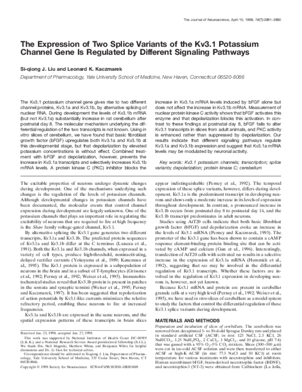 (PDF) The expression of two splice variants of the Kv3.1 potassium ...