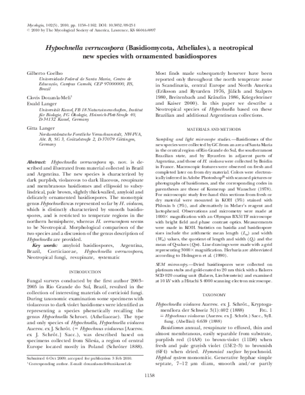 (PDF) Spongiforma squarepantsii, a new species of gasteroid bolete from ...