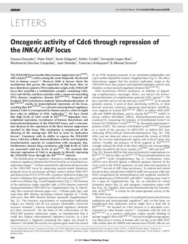 (PDF) Oncogenic activity of Cdc6 through repression of the INK4/ARF locus