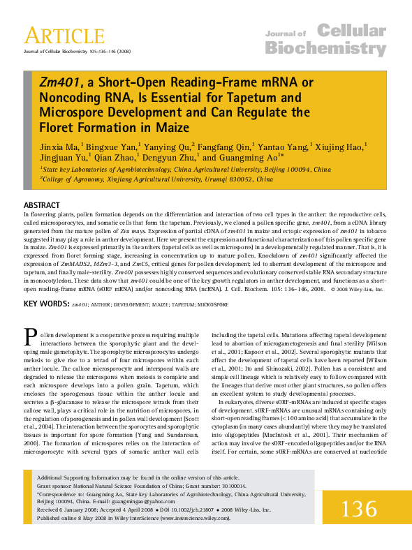 (PDF) Zm401 , a short-open reading-frame mRNA or noncoding RNA, is ...