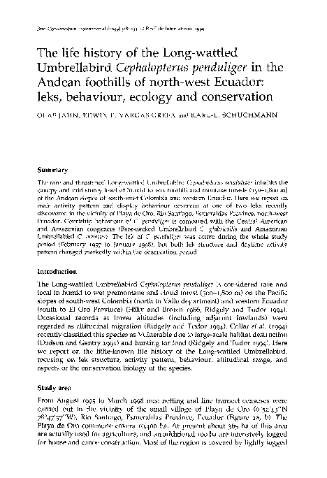 (PDF) The life history of the Long-wattled Umbrellabird Cephalopterus ...