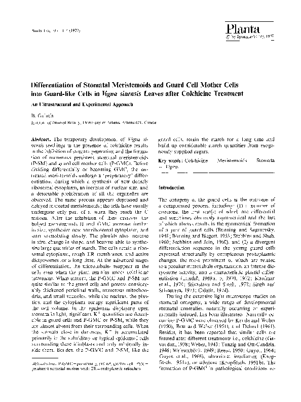 (PDF) Differentiation of stomatal meristemoids and guard cell mother ...