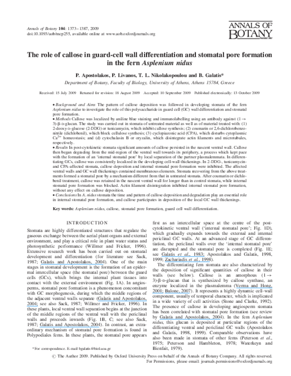 (PDF) The role of callose in guard-cell wall differentiation and ...