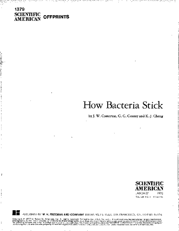 (PDF) How Bacteria Stick