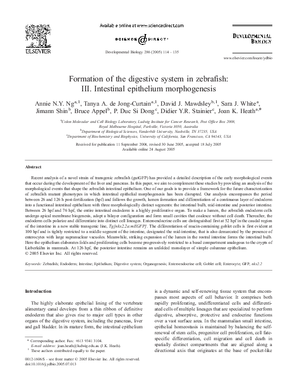 (PDF) Formation of the digestive system in zebrafish: III. Intestinal ...