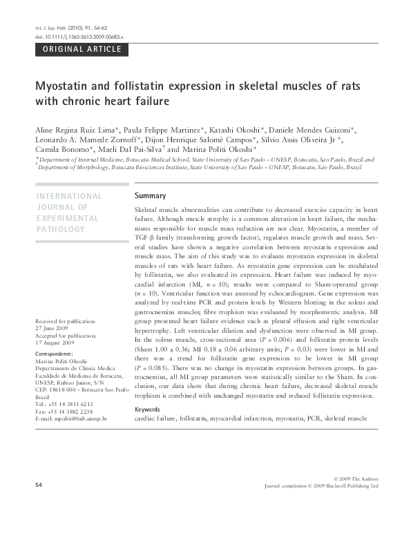 (PDF) Myostatin and follistatin expression in skeletal muscles of rats ...