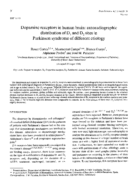 (PDF) Dopamine receptors in human brain: Autoradiographic distribution ...