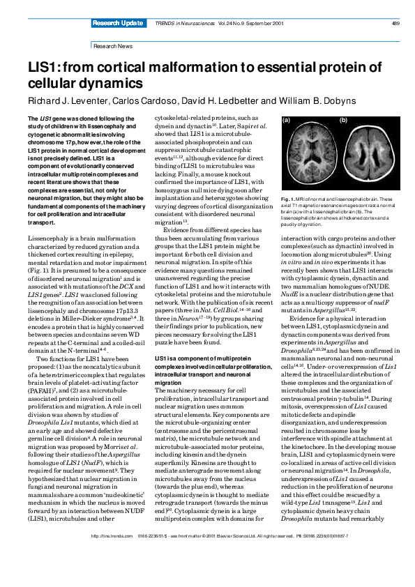 (PDF) LIS1: from cortical malformation to essential protein of cellular dynamics