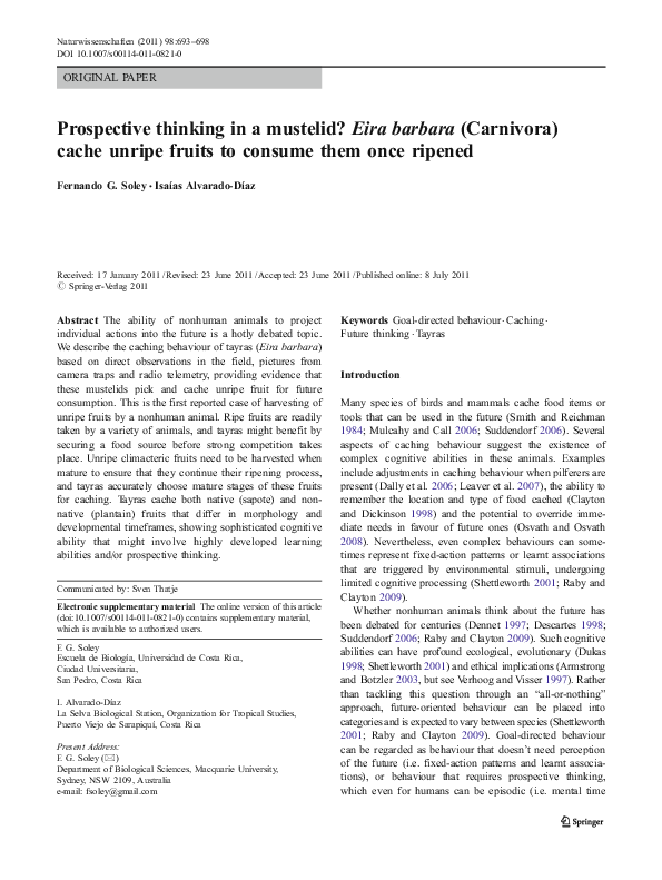 (PDF) Prospective thinking in a mustelid? Eira barbara (Carnivora ...