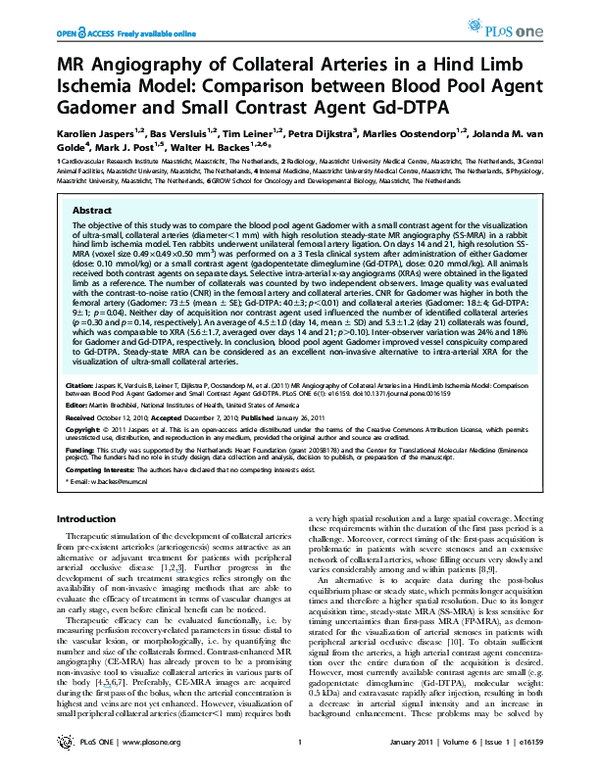 (PDF) MR Angiography of Collateral Arteries in a Hind Limb Ischemia ...