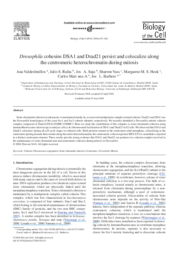 (PDF) Drosophila cohesins DSA1 and Drad21 persist and colocalize along the centromeric ...
