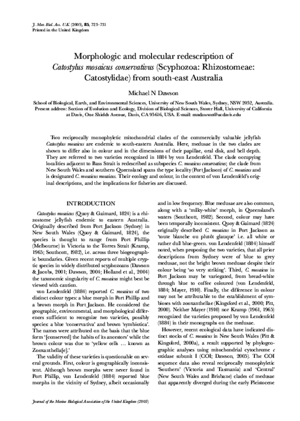 (PDF) Morphologic and molecular redescription of Catostylus mosaicus ...