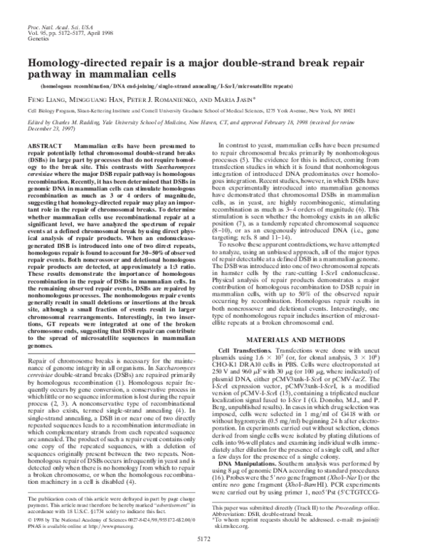 (PDF) Homology-Directed Repair is a Major Double-Strand Break Repair ...