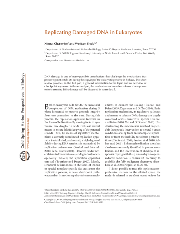 (PDF) Replicating Damaged DNA in Eukaryotes