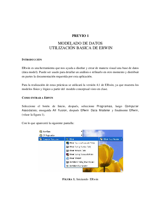 (PDF) MODELADO DE DATOS UTILIZACIÓN BASICA DE ERWIN