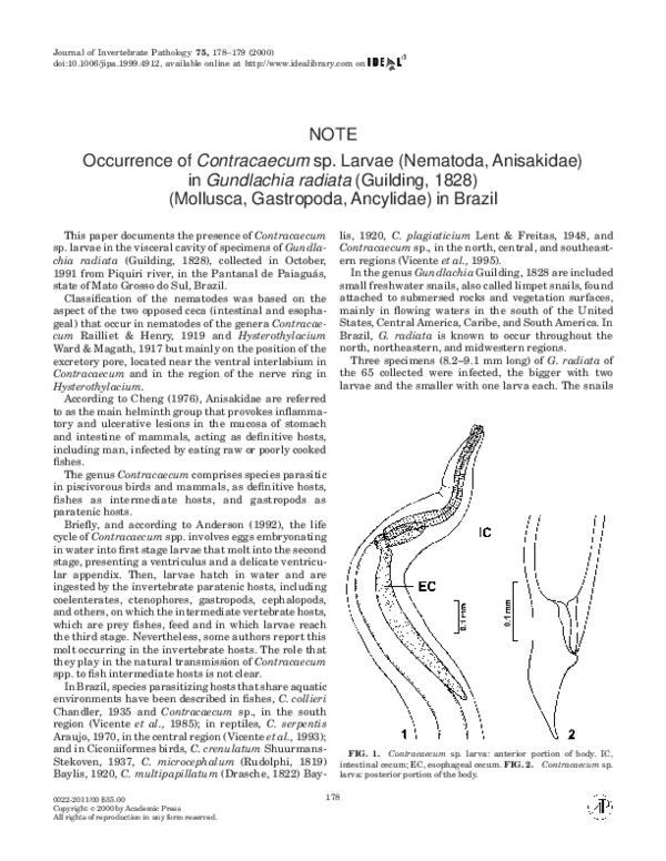 (PDF) Occurrence of Contracaecum sp. Larvae (Nematoda, Anisakidae) in ...